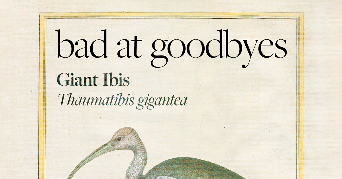 bad at goodbyes // bad at goodbyes / giant ibis